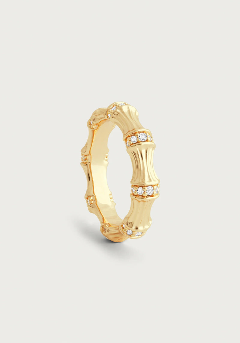 Bamboo – Anabel Aram